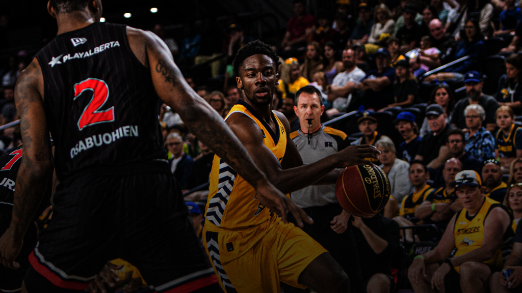 CEBL+ | Watch Live CEBL Games, Highlights, Features and more